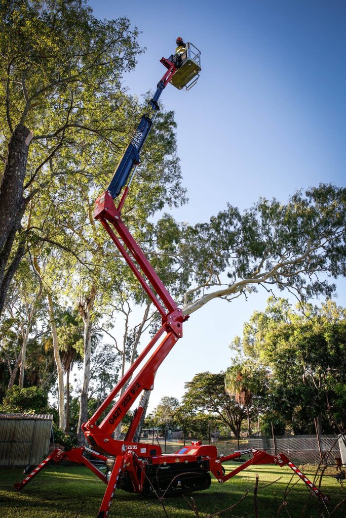 Tree Lopping for Beautiful Landscape in Townsville - LiverPool Landscapers